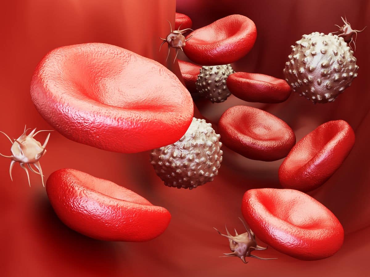 September is Blood Cancer Awareness Month | iSpecimen