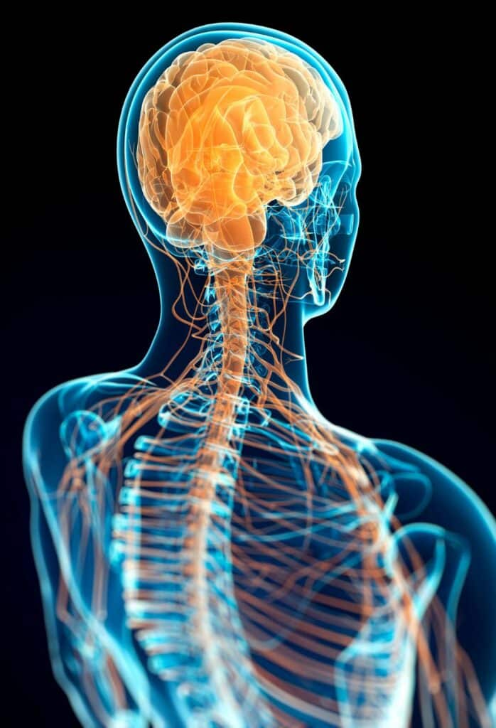 Central Nervous System Disease Samples | iSpecimen