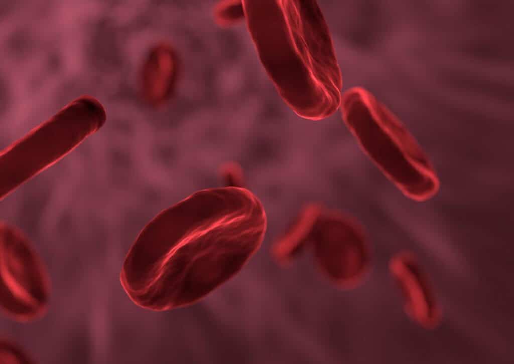 Human Whole Blood Samples | iSpecimen